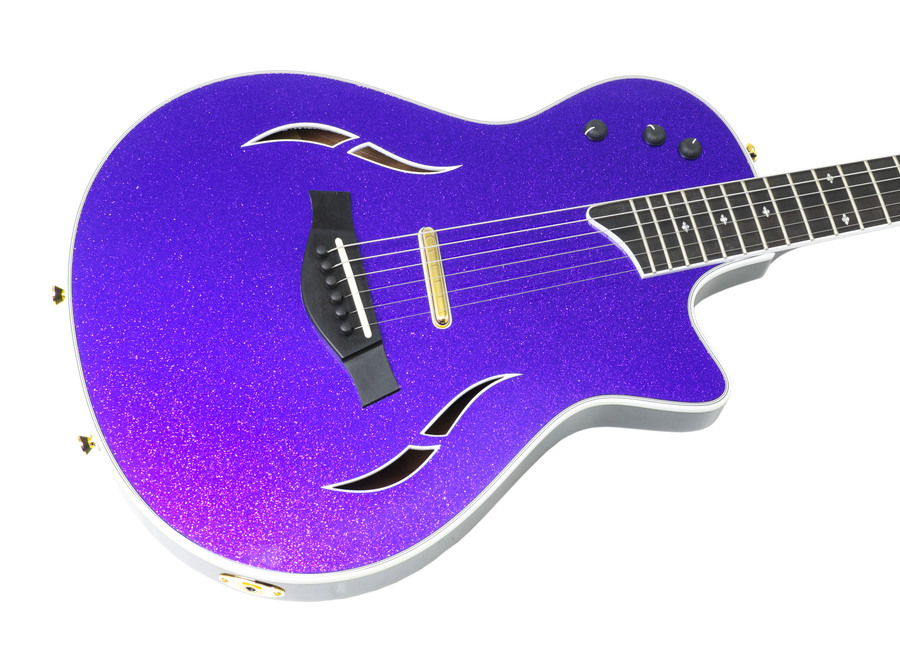 Dark Purple Acoustic Guitar